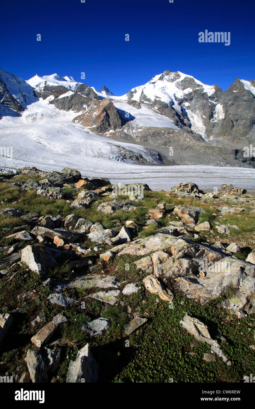 Bernina diavolezza -Fotos und -Bildmaterial in hoher Auflösung – Alamy