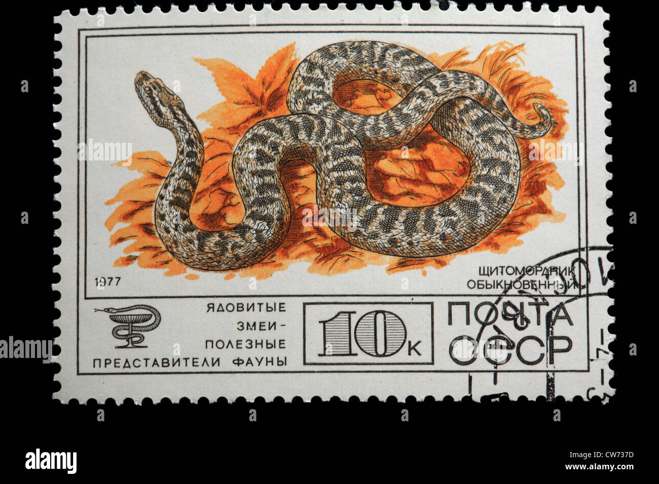 Halys pit viper gloydius halys -Fotos und -Bildmaterial in hoher ...