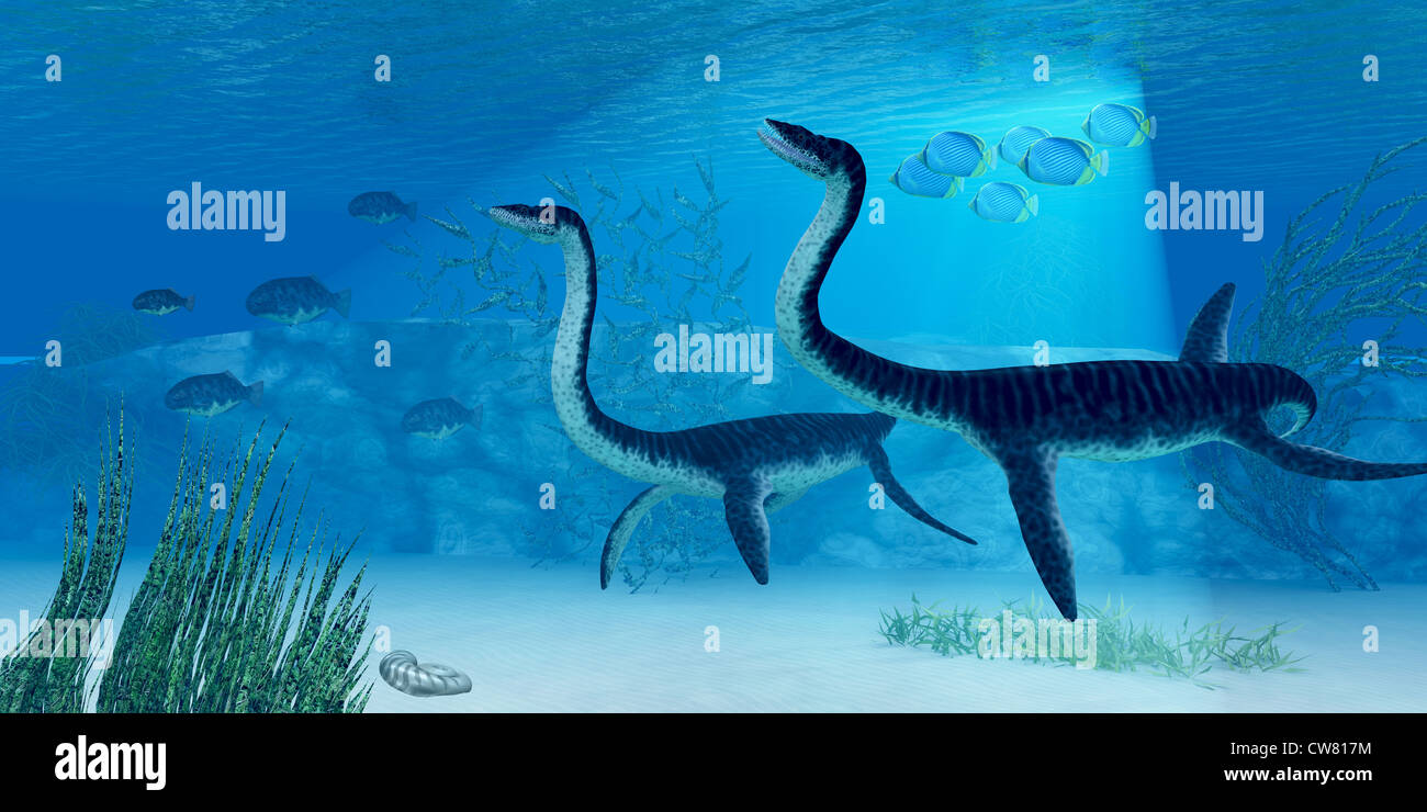 Jurassic Meere waren voll des Lebens wie der Plesiosaurus Dinosaurier ...