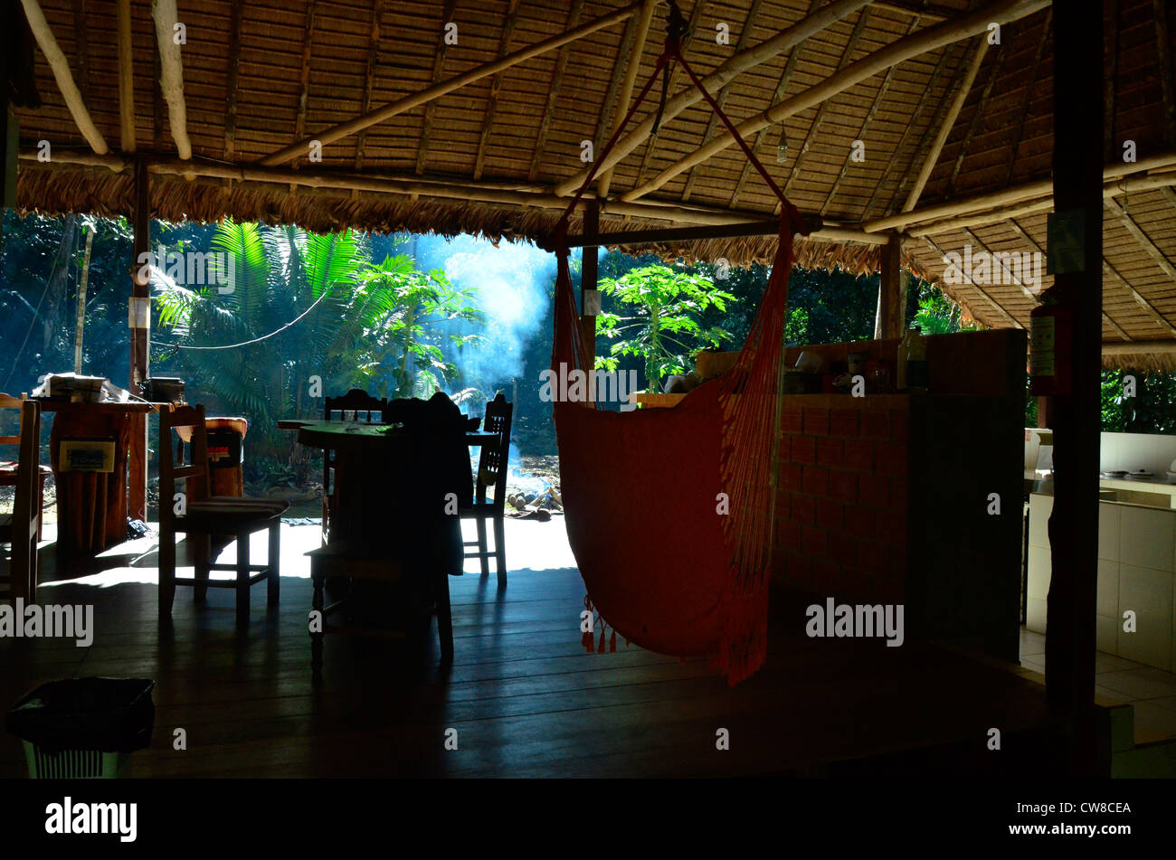 Berraco del madidi -Fotos und -Bildmaterial in hoher Auflösung – Alamy