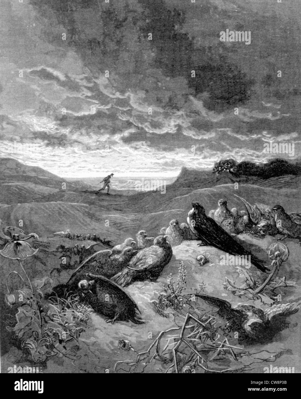 Die Schwalbe und die kleinen Vögel, Fabel von La Fontaine, Illustration ...