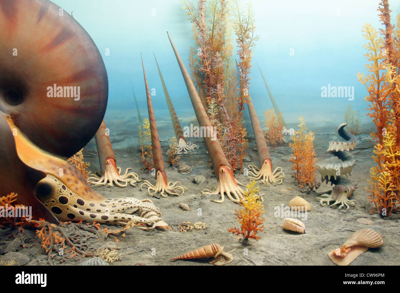 65 Millionen Jahre Stockfotos und -bilder Kaufen - Alamy
