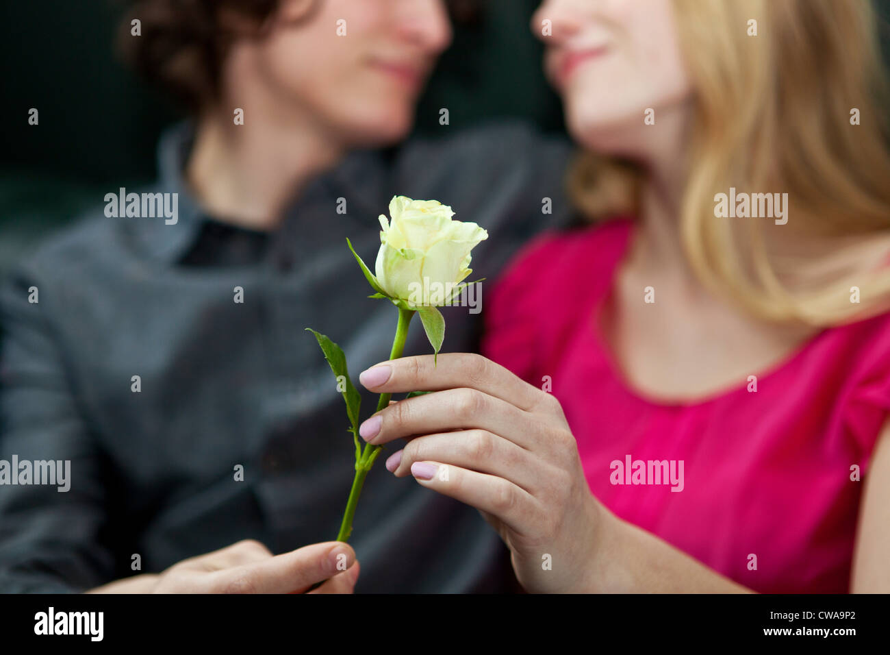 Valentins ameise -Fotos und -Bildmaterial in hoher Auflösung – Alamy
