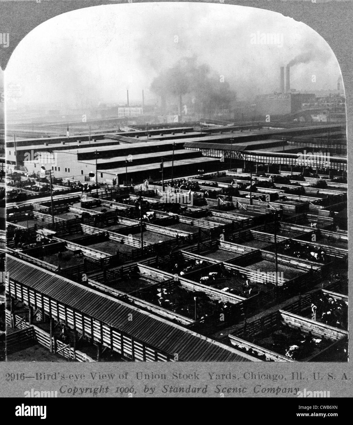 Union Stockyards, Chicago, Ill. Stereokarten ca. 1906 Stockfotografie ...