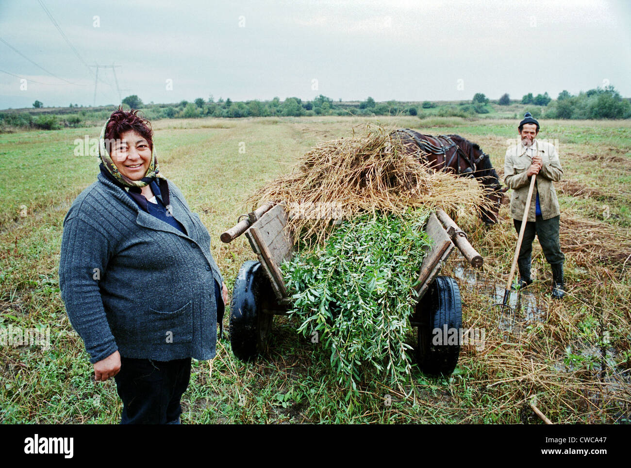 Ein Bauer-paar in der Heuernte, Rumänien Stockfotografie - Alamy