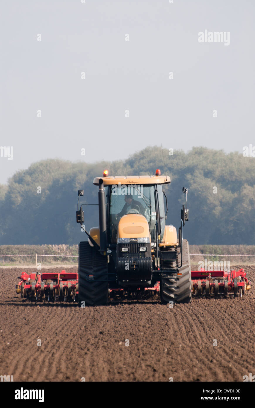 Katze traktor -Fotos und -Bildmaterial in hoher Auflösung – Alamy