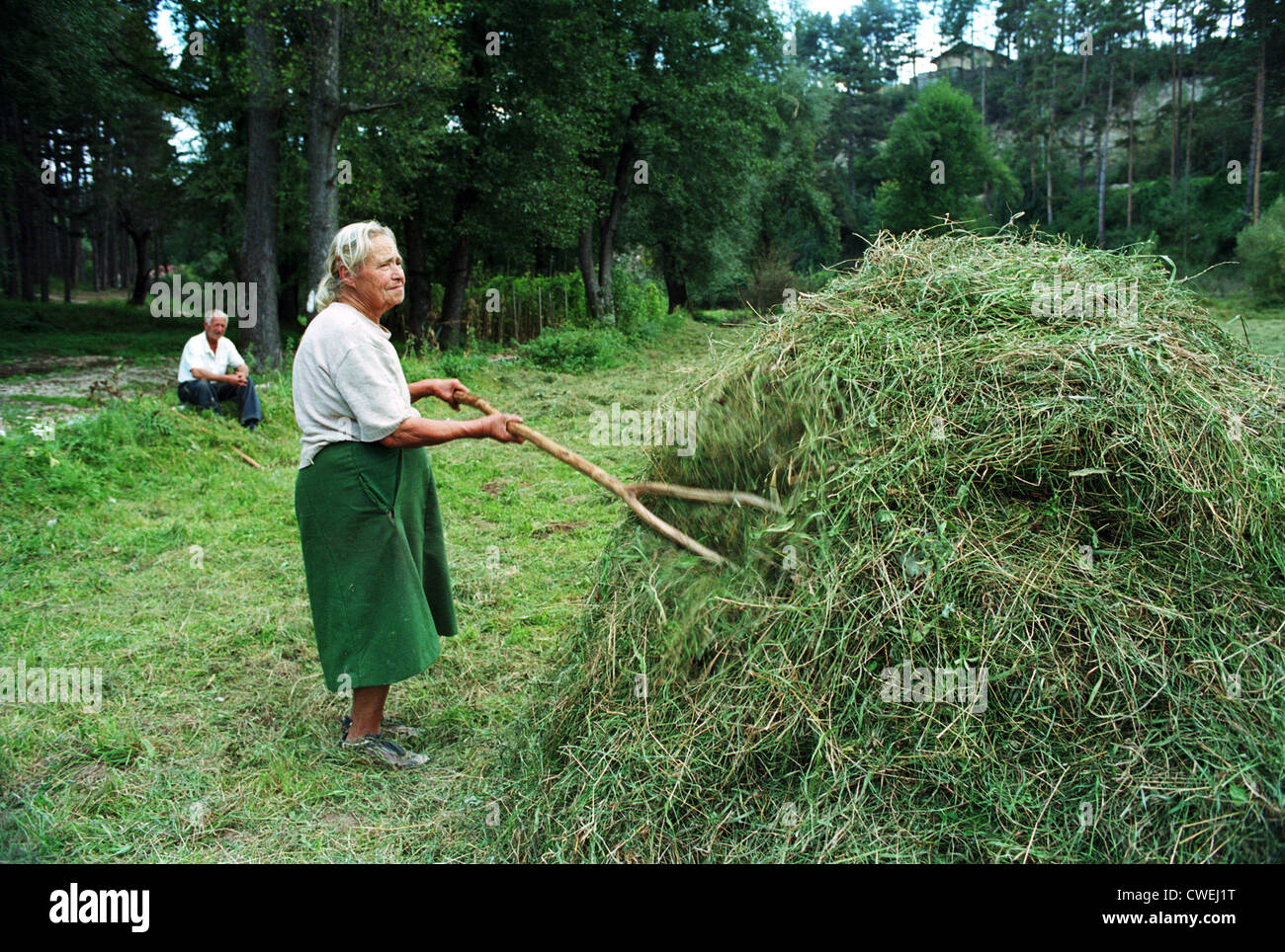Eine Bäuerin auf einer Wiese Heu stapeln, Bulgarien Stockfotografie - Alamy