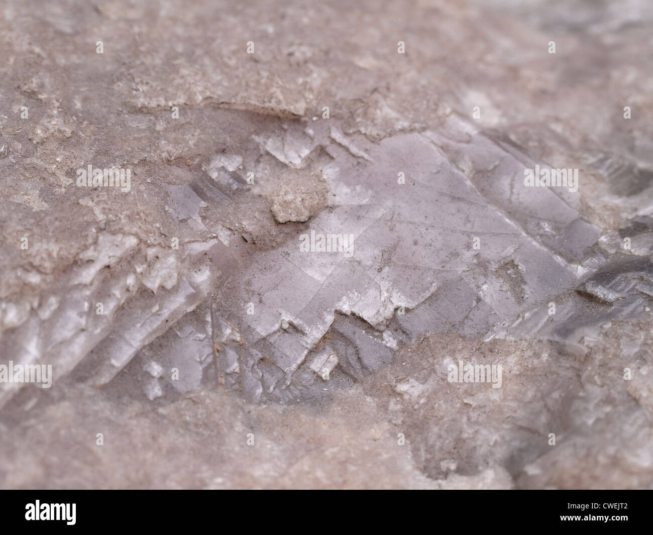 Rosa feldspat -Fotos und -Bildmaterial in hoher Auflösung – Alamy