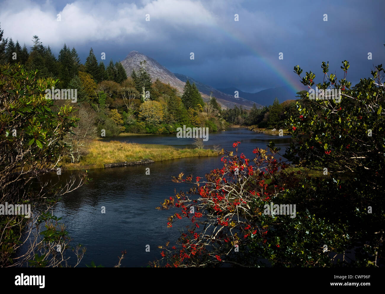Ballynahinch see -Fotos und -Bildmaterial in hoher Auflösung – Alamy