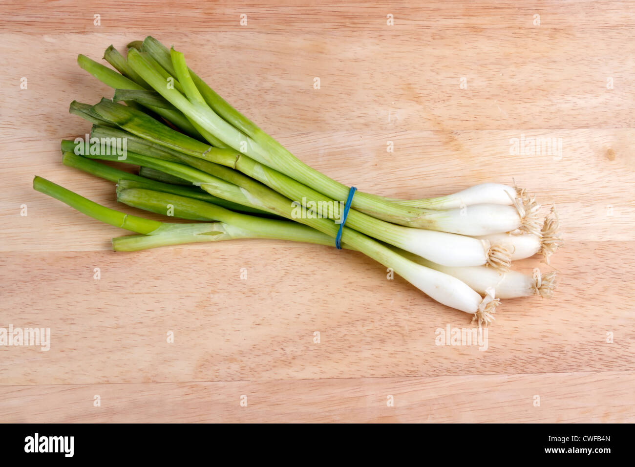 Bilder von schalotten -Fotos und -Bildmaterial in hoher Auflösung – Alamy