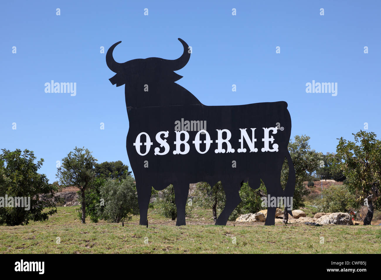 Osborne stier -Fotos und -Bildmaterial in hoher Auflösung – Alamy