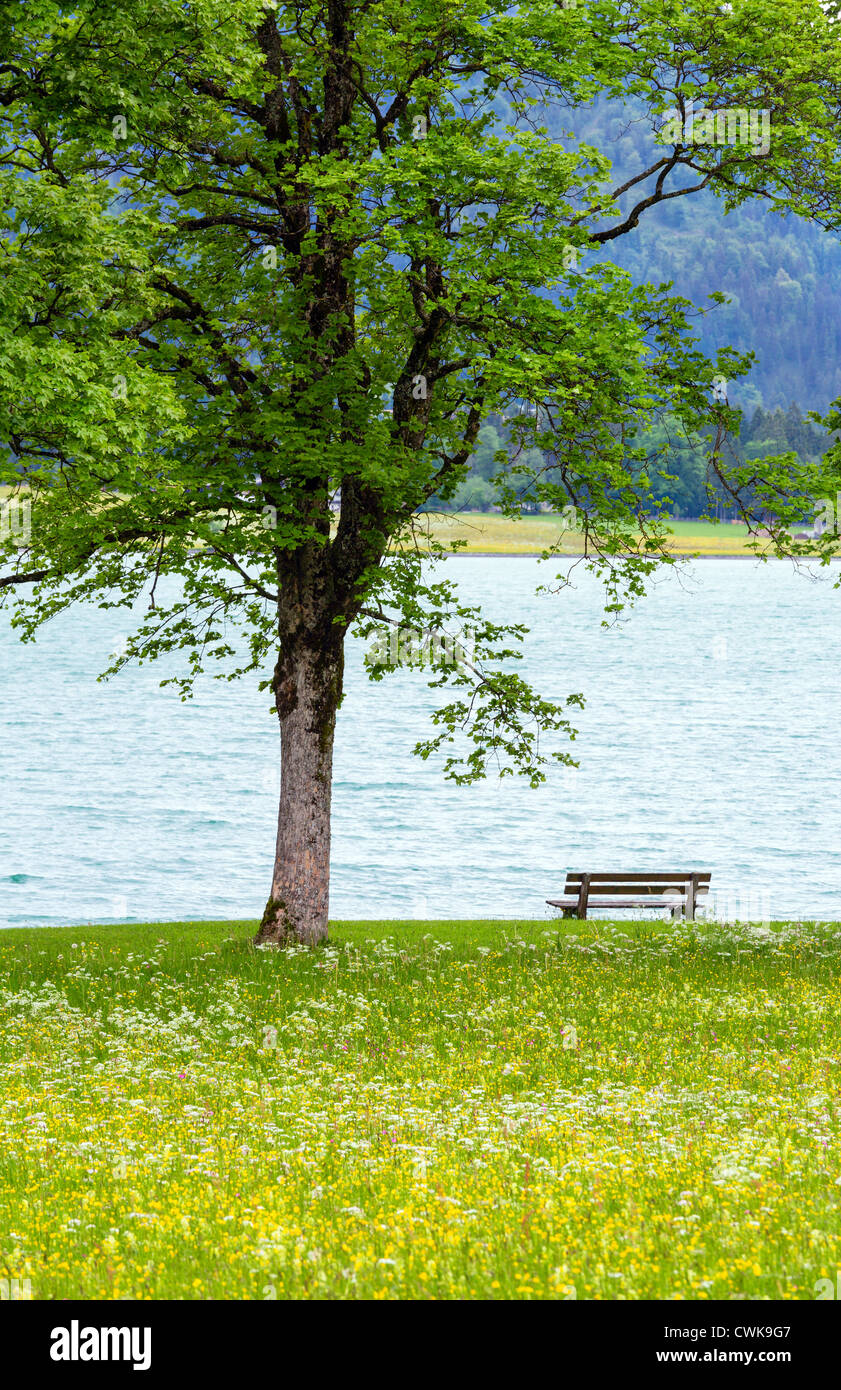 Achensee (Achensee) Sommerlandschaft mit blühenden Wiesen und Bank am ...