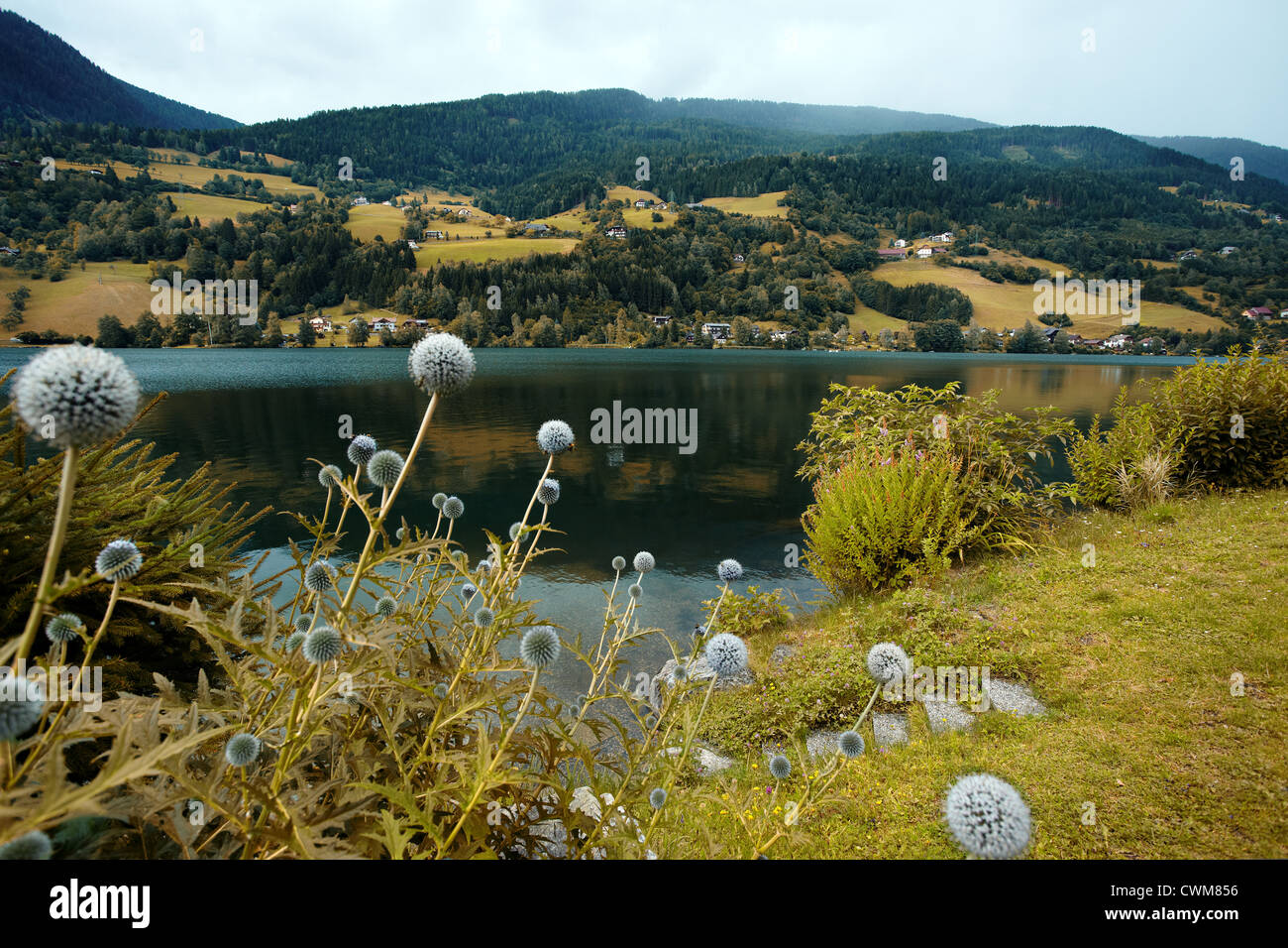 Feld see -Fotos und -Bildmaterial in hoher Auflösung – Alamy
