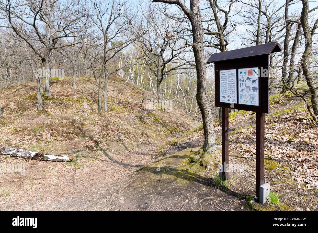 Keltske oppidum -Fotos und -Bildmaterial in hoher Auflösung – Alamy