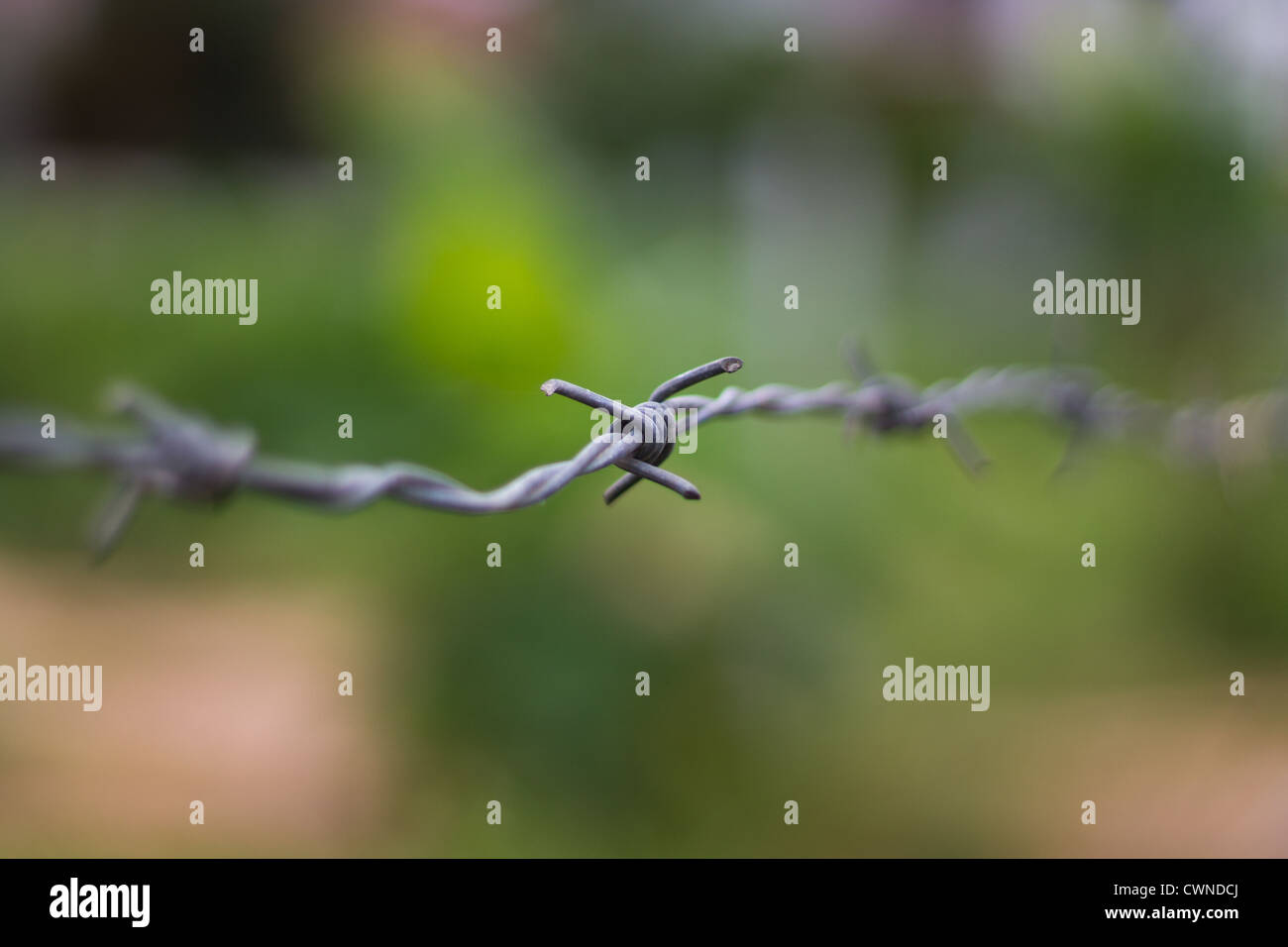 Stacheldraht fotos -Fotos und -Bildmaterial in hoher Auflösung – Alamy