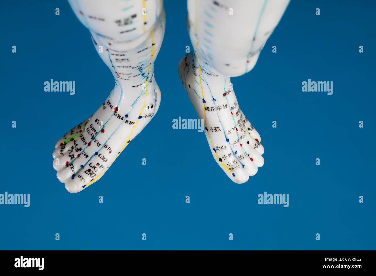 Ein weibliches Modell mit markierten Akupunkturpunkte, chinesischen ...