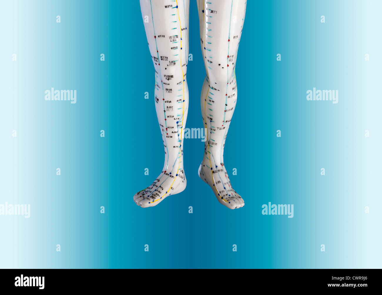 Meridiane Akupunktur Tradtionell Stockfotos und -bilder Kaufen - Alamy