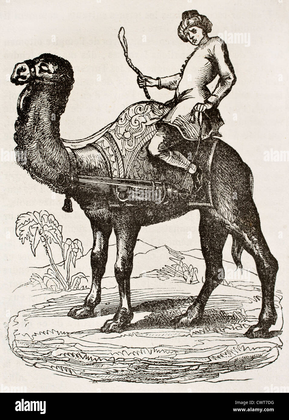 Kanonier und kanone -Fotos und -Bildmaterial in hoher Auflösung – Alamy