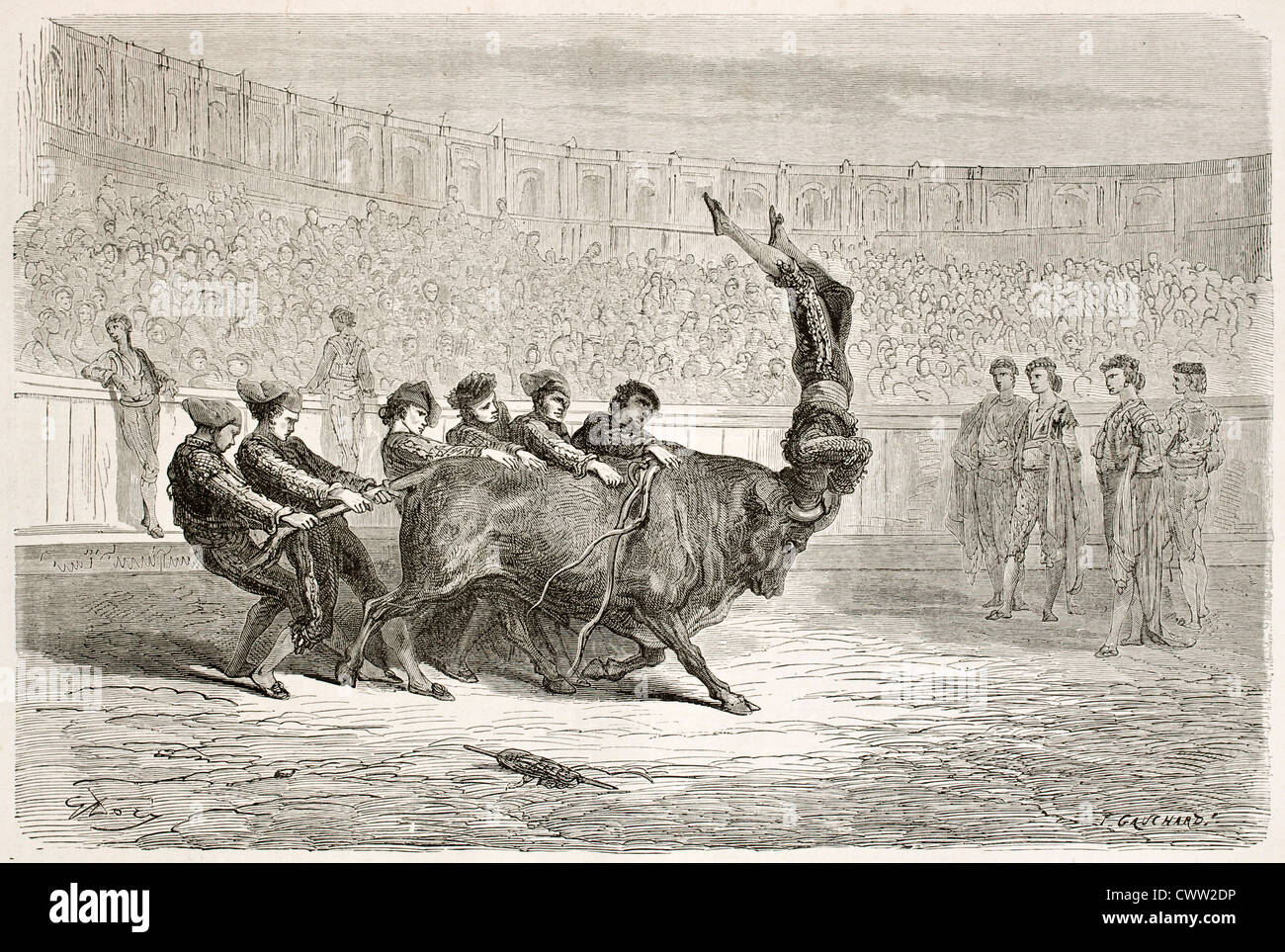 Die kunst des stierkampfes -Fotos und -Bildmaterial in hoher Auflösung ...