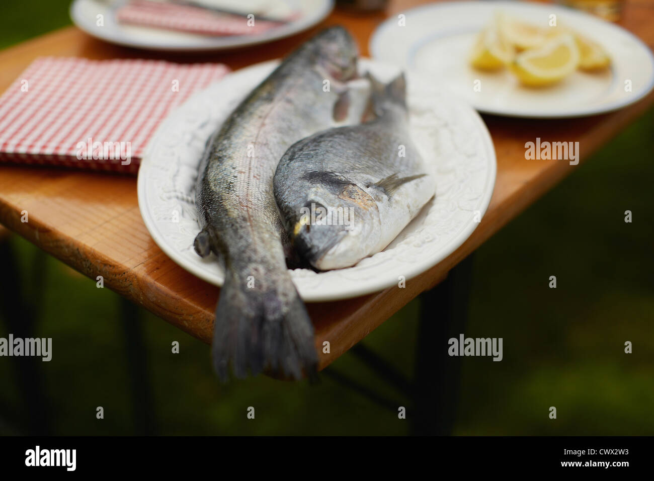 Exkursion im freien Stockfotos und -bilder Kaufen - Alamy