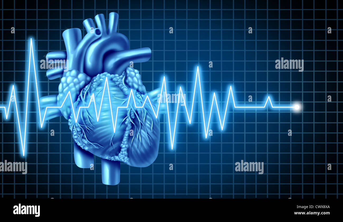 EKG-Grafik mit Elektrokardiogramm eines menschlichen Herzens Vertretung ...