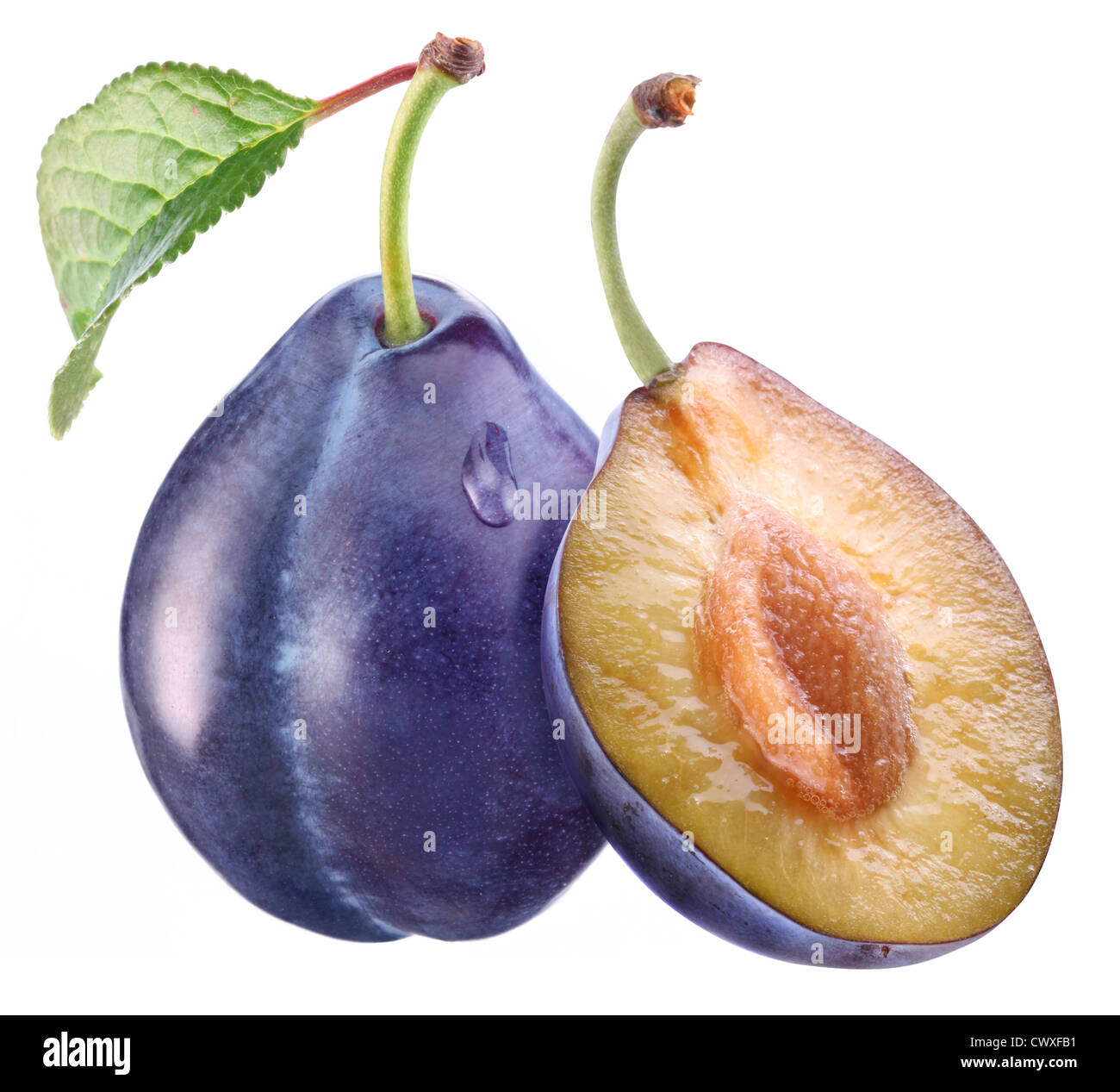 Cross section plum -Fotos und -Bildmaterial in hoher Auflösung – Alamy