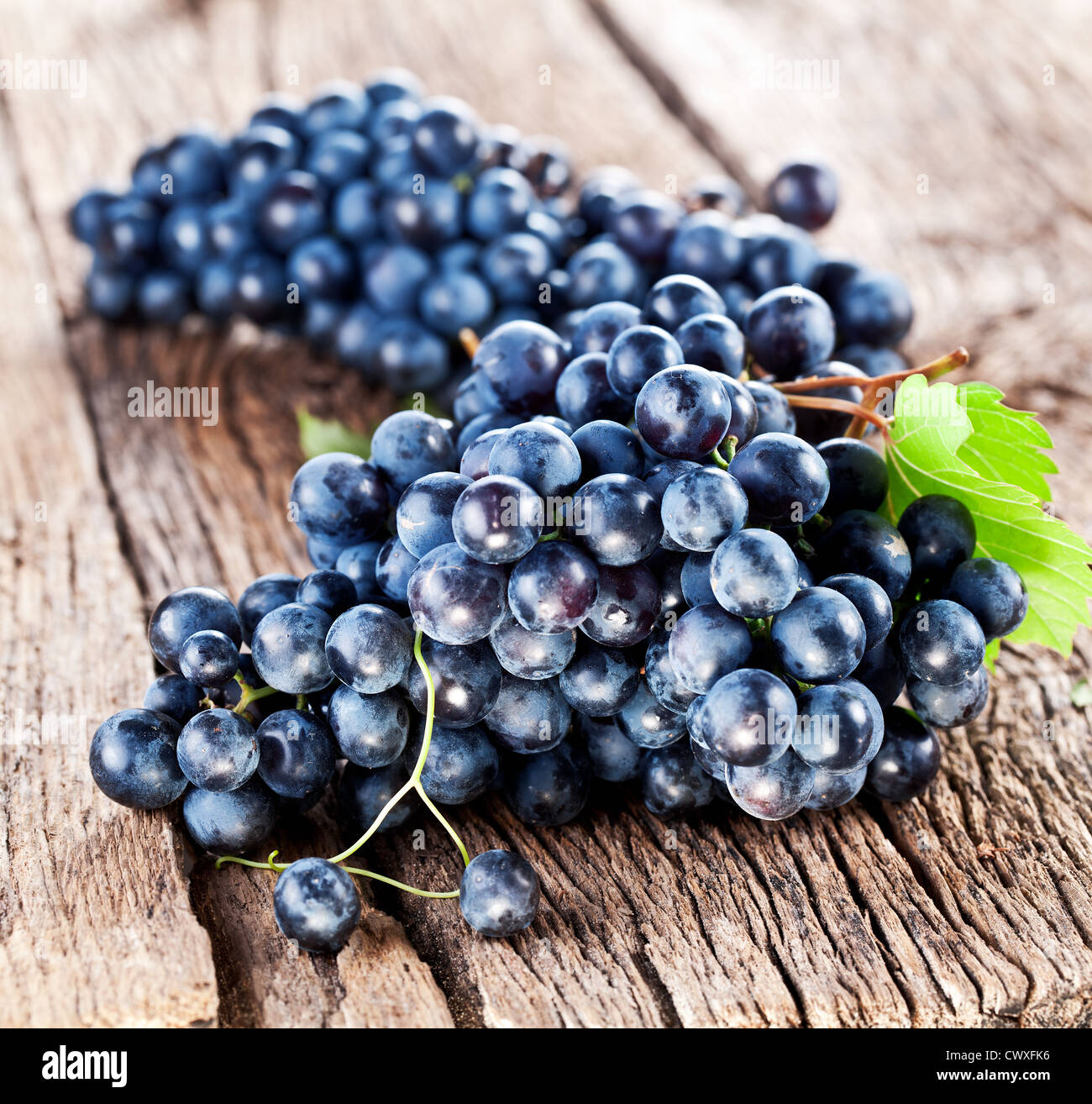 Stillleben Mit Trauben Stockfotos und -bilder Kaufen - Alamy