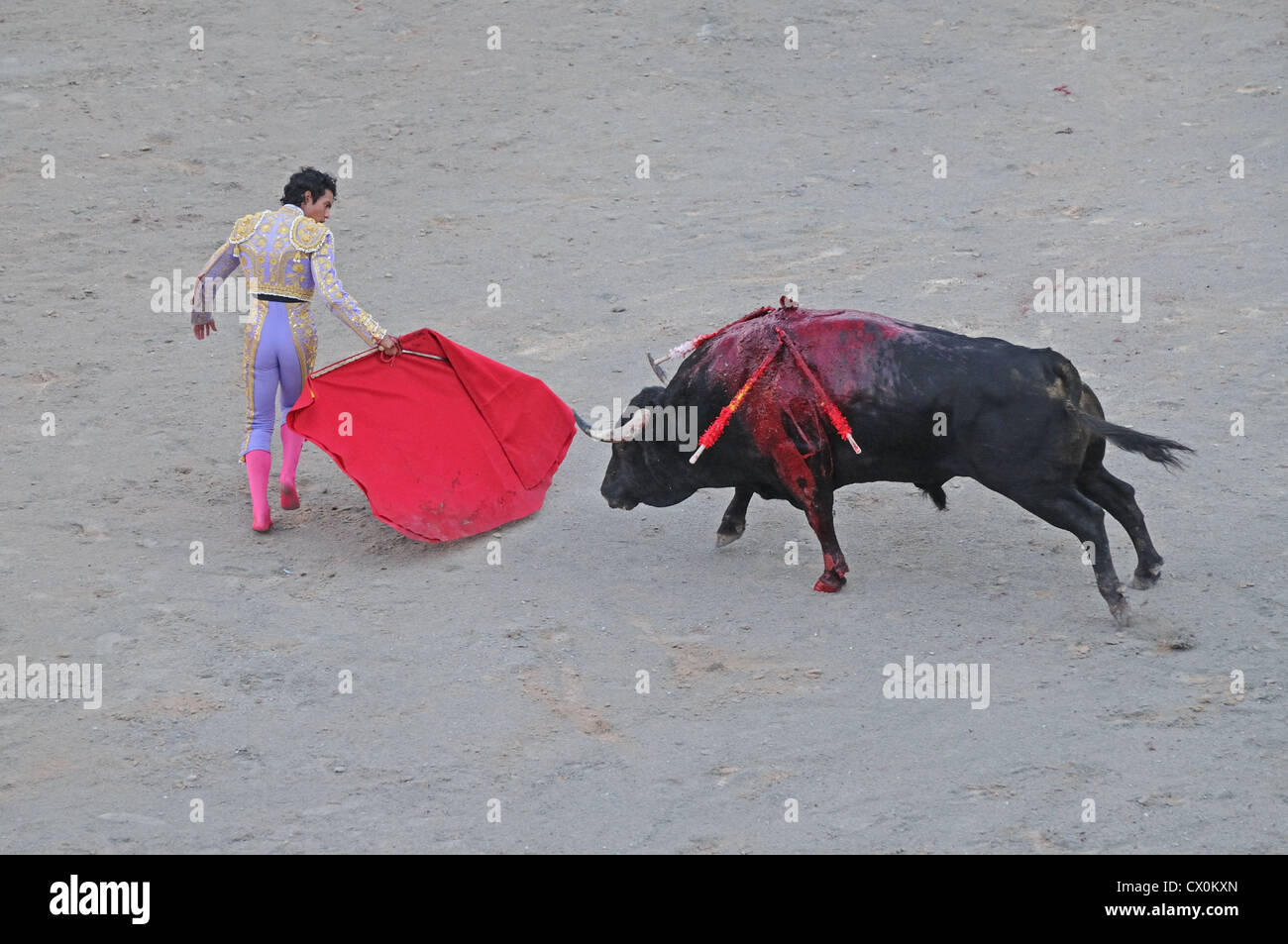 Red bull festival -Fotos und -Bildmaterial in hoher Auflösung - Seite 2 ...