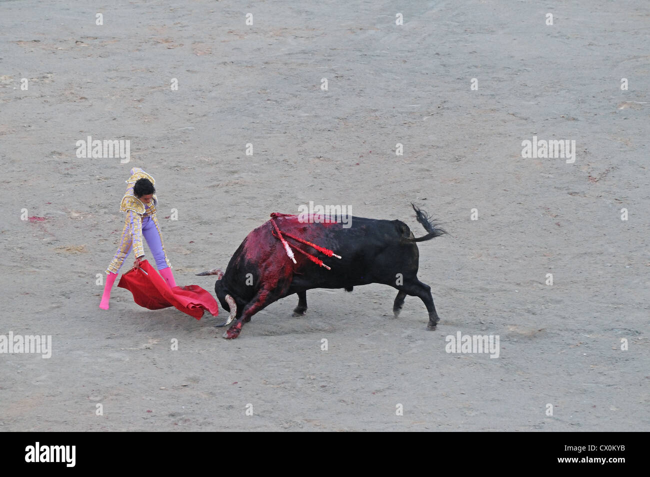 Verwundeter matador -Fotos und -Bildmaterial in hoher Auflösung – Alamy