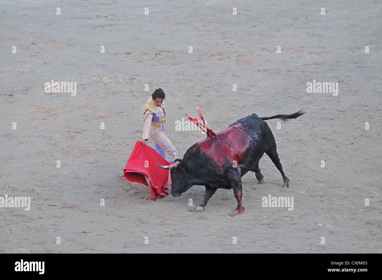 Verwundeter matador -Fotos und -Bildmaterial in hoher Auflösung – Alamy
