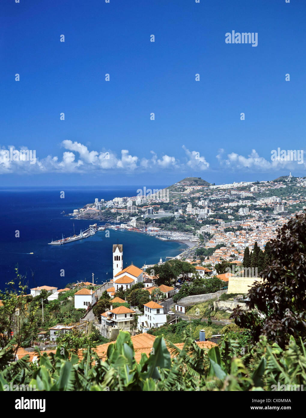 Von funchal -Fotos und -Bildmaterial in hoher Auflösung – Alamy