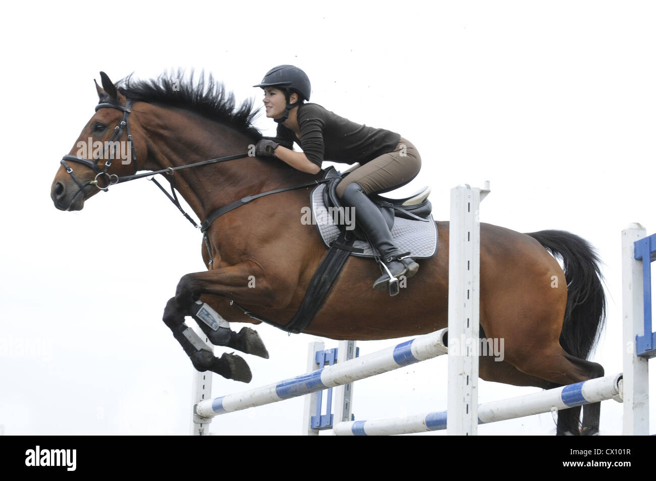 Oxer jump -Fotos und -Bildmaterial in hoher Auflösung - Seite 2 - Alamy