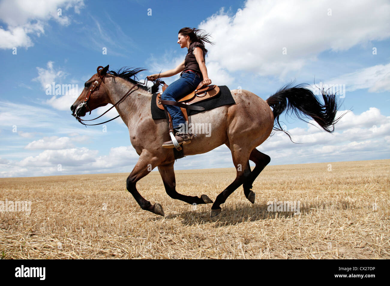 Western Riding Stockfotos und -bilder Kaufen - Alamy