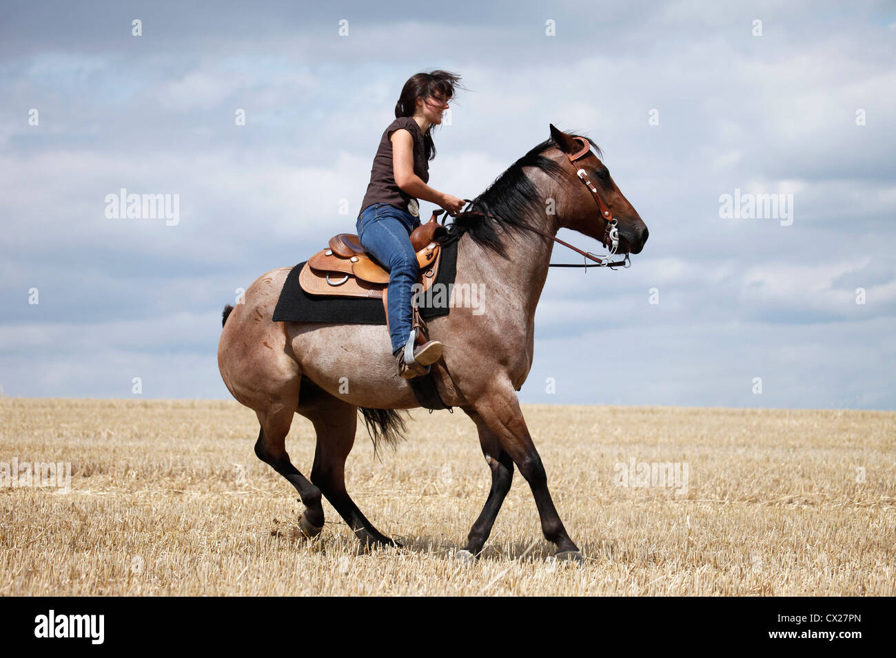 westliches reiten Reiterin Stockfotografie - Alamy