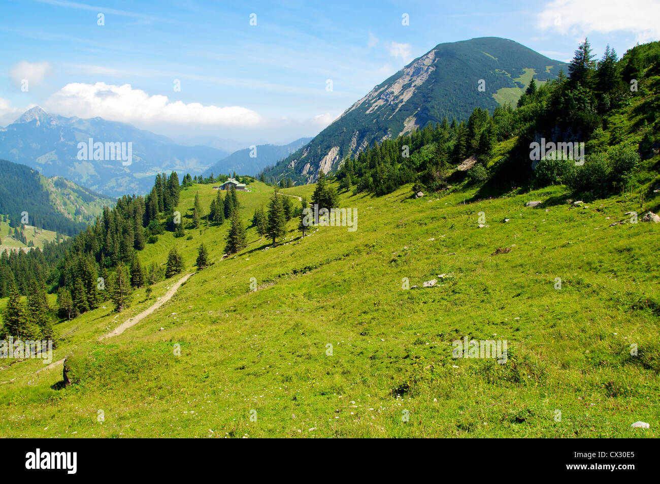 Bayerische alpen sommer -Fotos und -Bildmaterial in hoher Auflösung – Alamy