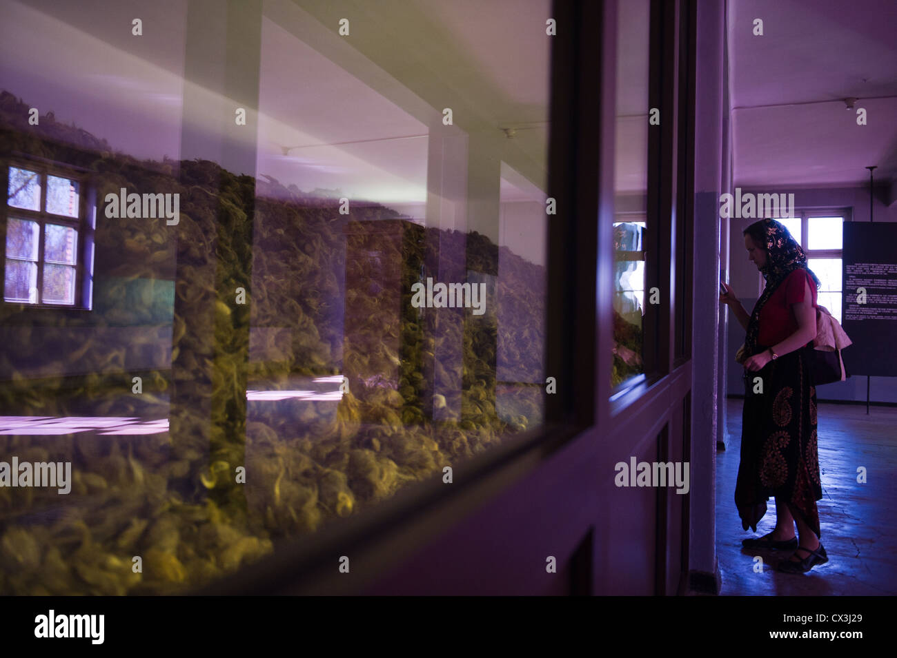 Auschwitz Hair Stockfotos und -bilder Kaufen - Alamy