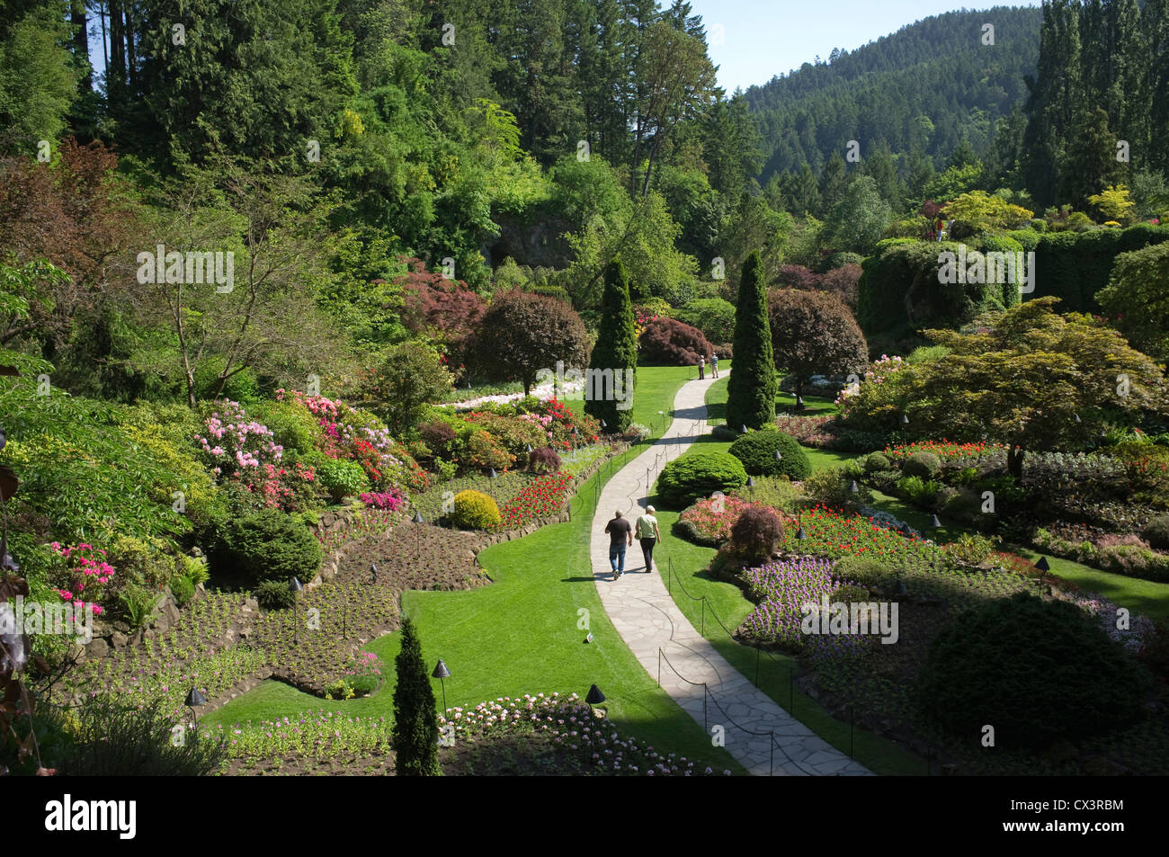 Butchart gardens rose garden flower -Fotos und -Bildmaterial in hoher Auflösung – Alamy