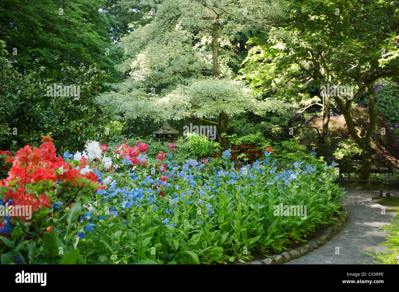 Butchart gardens versunkener garten ross brunnen -Fotos und -Bildmaterial in hoher Auflösung – Alamy