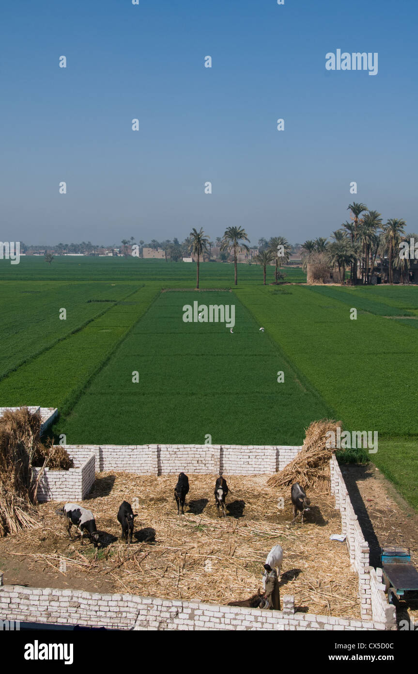 Entwicklungsland Landwirtschaft Stockfotos und -bilder Kaufen - Alamy