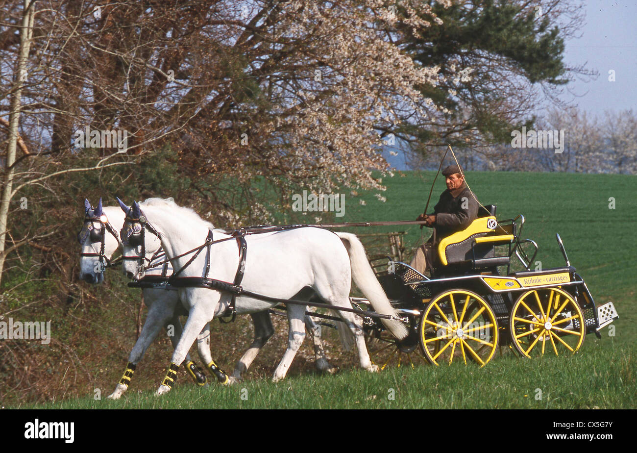 Der orlow -Fotos und -Bildmaterial in hoher Auflösung - Seite 2 - Alamy