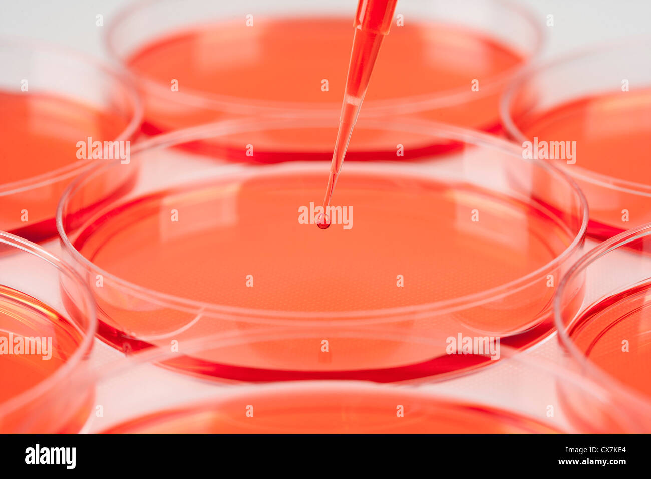 Medical samples -Fotos und -Bildmaterial in hoher Auflösung – Alamy