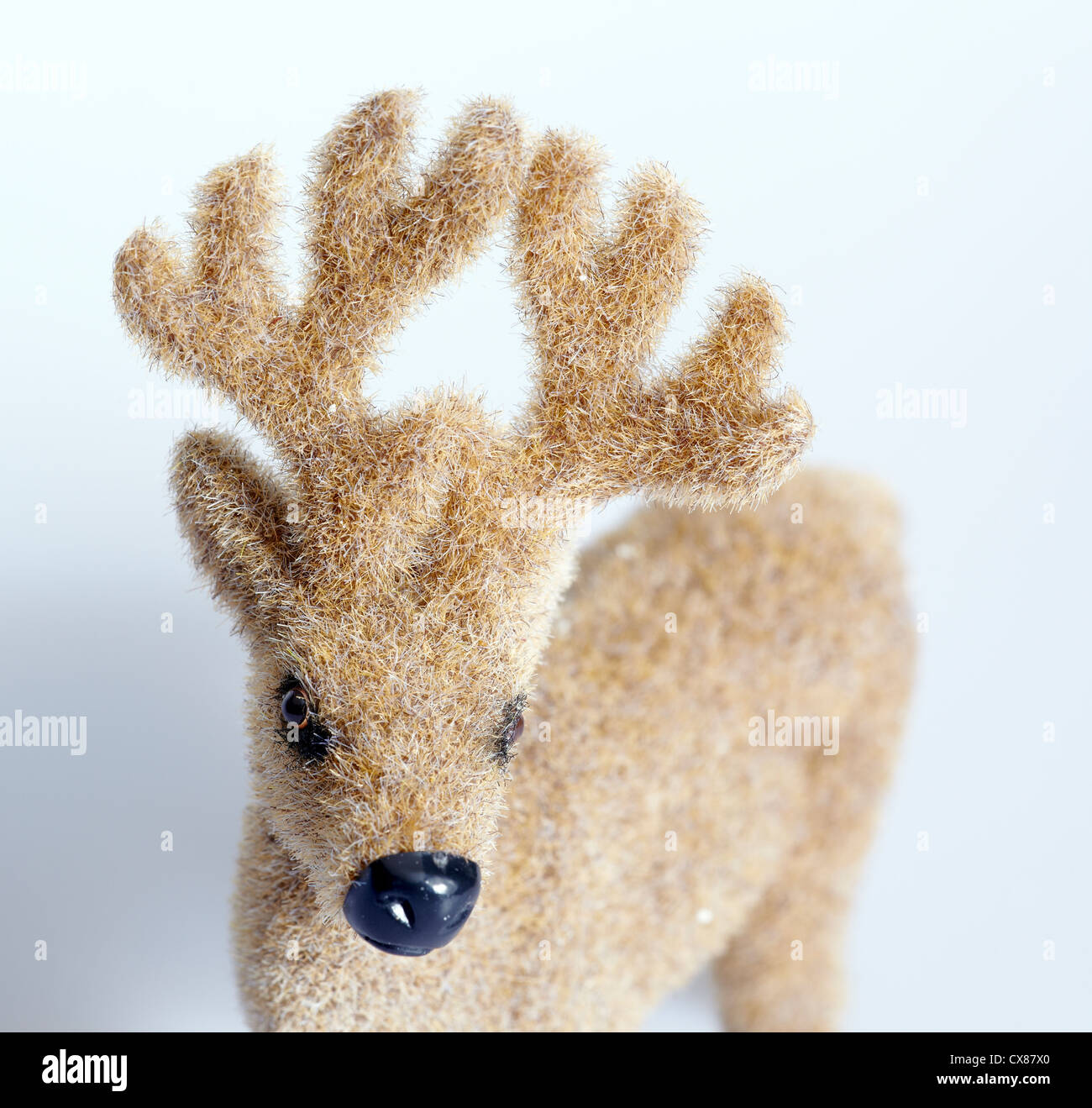 Rudolf der rentier -Fotos und -Bildmaterial in hoher Auflösung – Alamy