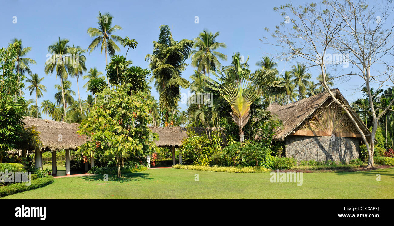 Amherstia nobilis -Fotos und -Bildmaterial in hoher Auflösung – Alamy