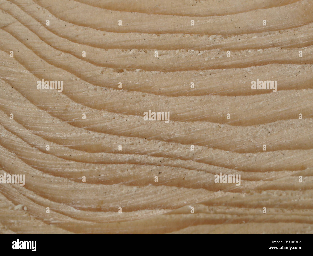 Gebogene holzstruktur -Fotos und -Bildmaterial in hoher Auflösung – Alamy