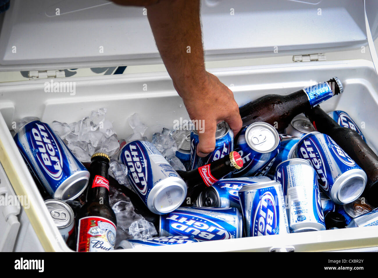 Dosen und Flaschen Bier in einer Kühlbox Stockfotografie - Alamy