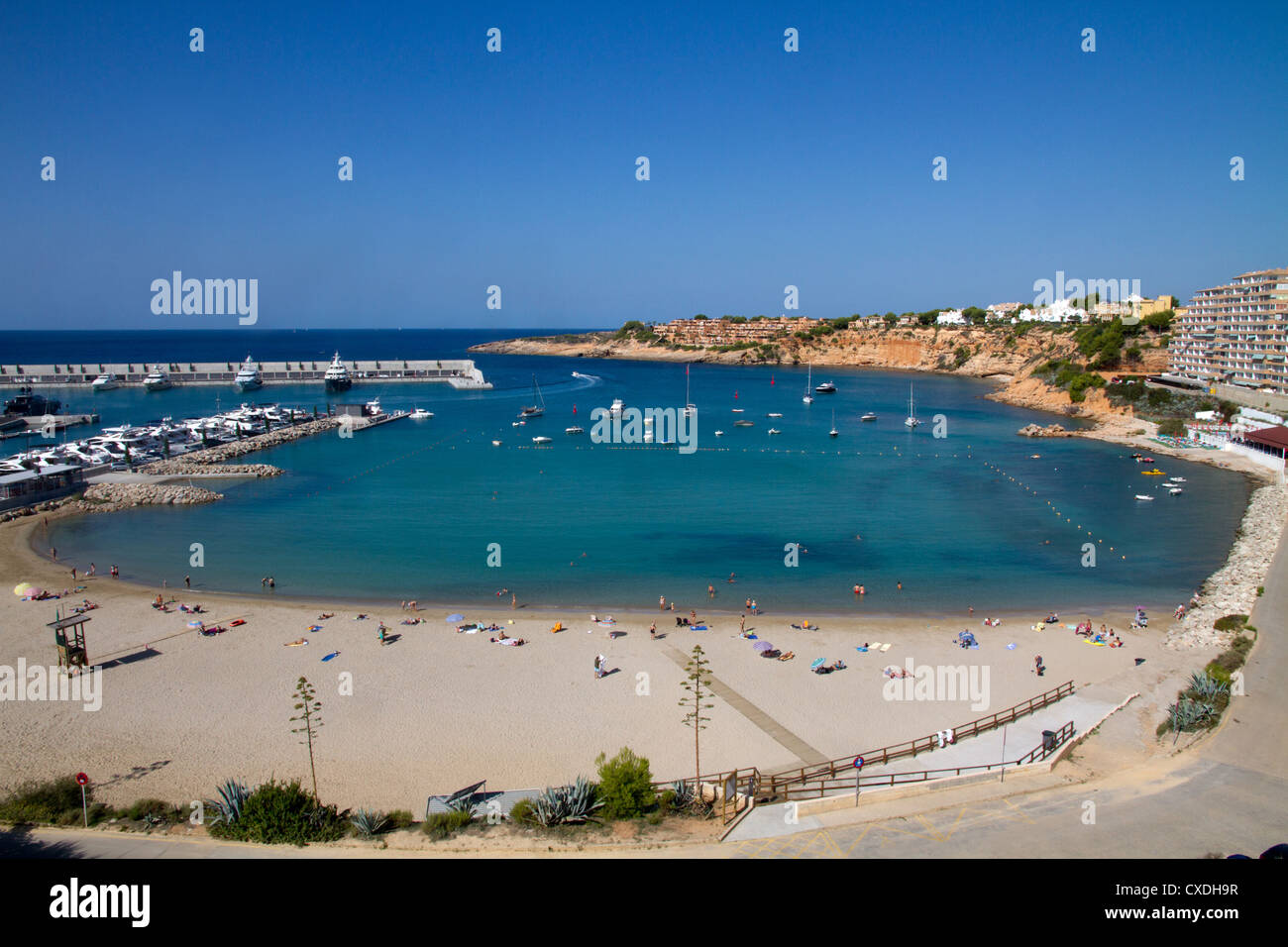El toro mallorca -Fotos und -Bildmaterial in hoher Auflösung – Alamy