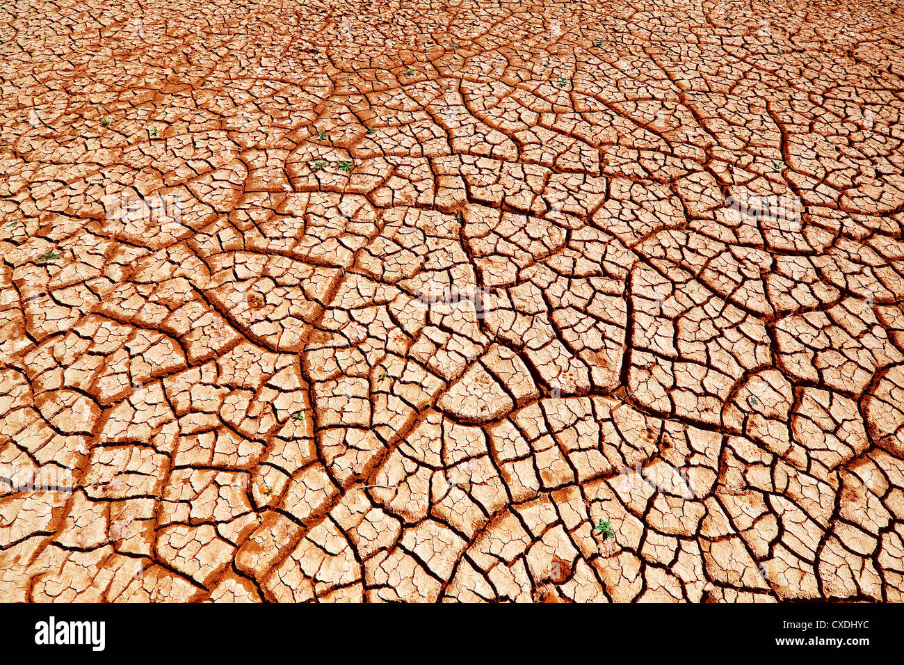 Gebrochene erde -Fotos und -Bildmaterial in hoher Auflösung – Alamy