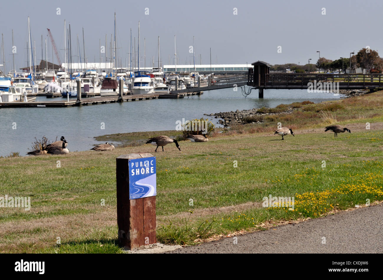 Oyster Point Marina und Park Stockfotos und -bilder Kaufen - Alamy