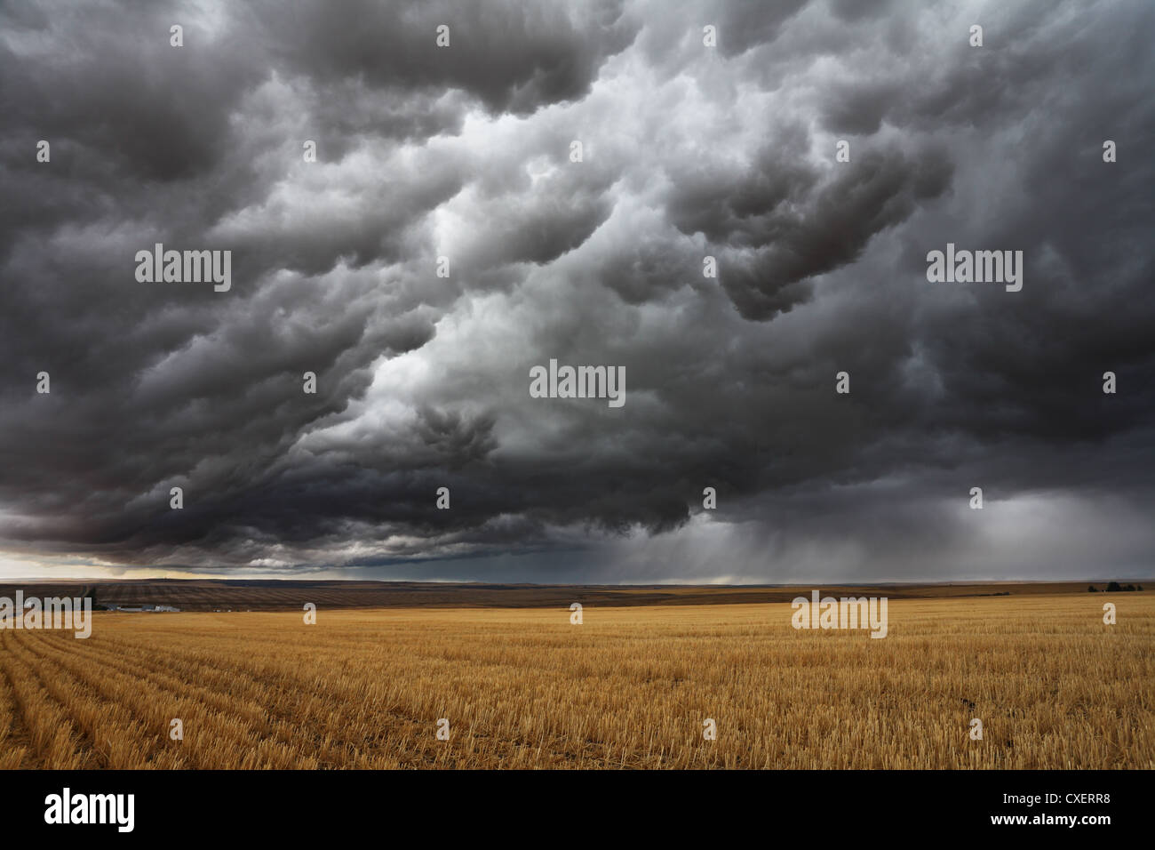 Gewitterwolken gewitter -Fotos und -Bildmaterial in hoher Auflösung – Alamy