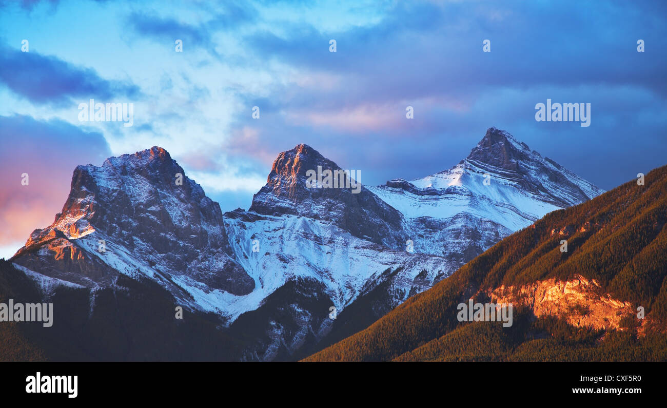 Pascolo estivo in montagna -Fotos und -Bildmaterial in hoher Auflösung – Alamy